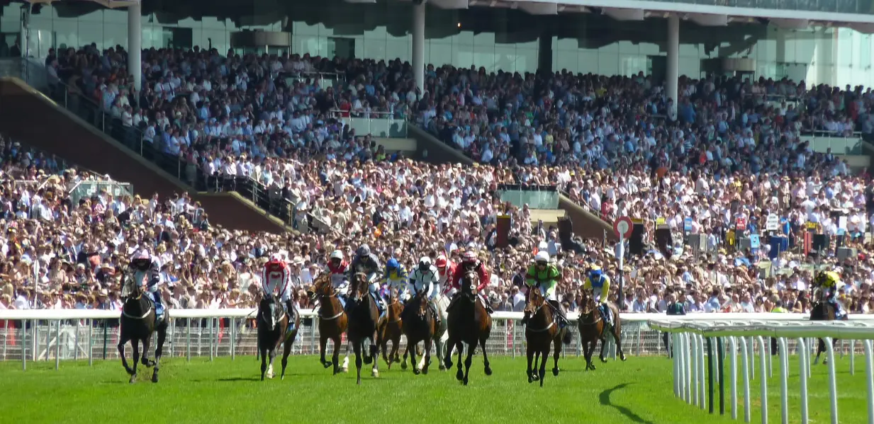 Melbourne Cup Chauffeur Service 2026: Your Ultimate Guide